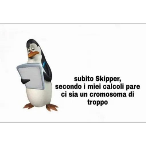 Sticker Maker - Bello Meme