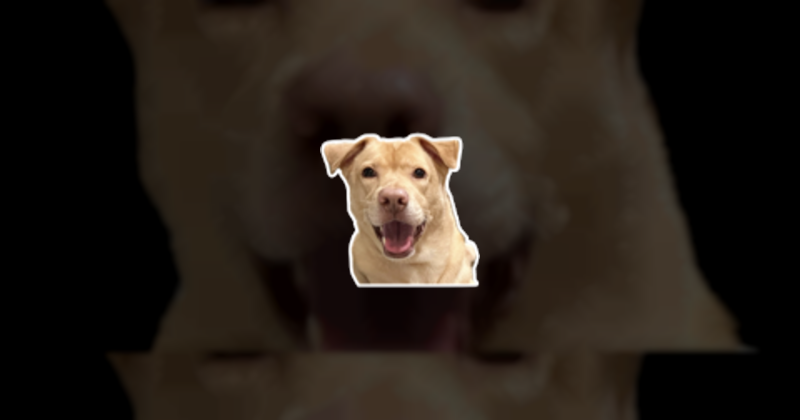 Sticker Maker - Bert bert