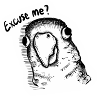 Sticker Maker - Bird talk cui cui