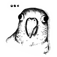 Sticker Maker - Bird talk cui cui