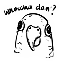 Sticker Maker - Bird talk cui cui