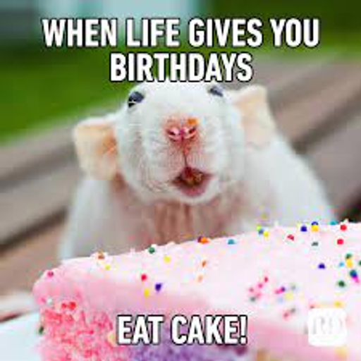 Sticker Maker - Birthday Memes