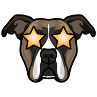 Sticker Maker - BOOMER