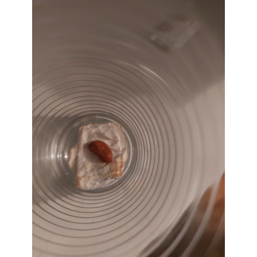 Sticker Maker - boon