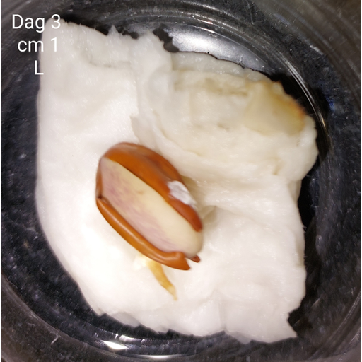 Sticker Maker - boon