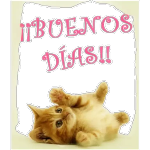 Sticker Maker - Buen día