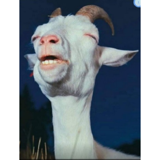 Sticker Maker - Cabra