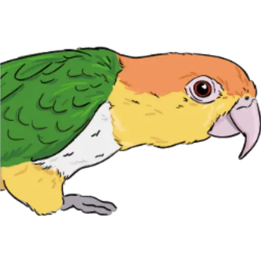 Sticker Maker - Caique (Made by Gooli Huang) @kikithecaique