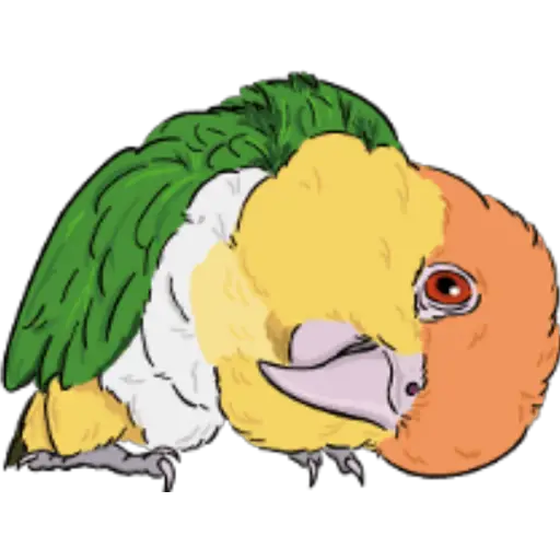 Sticker Maker - Caique (Made by Gooli Huang) @kikithecaique