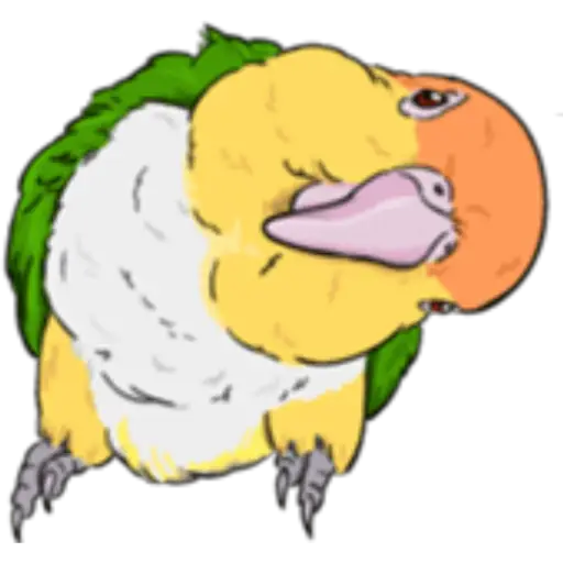Sticker Maker - Caique (Made by Gooli Huang) @kikithecaique