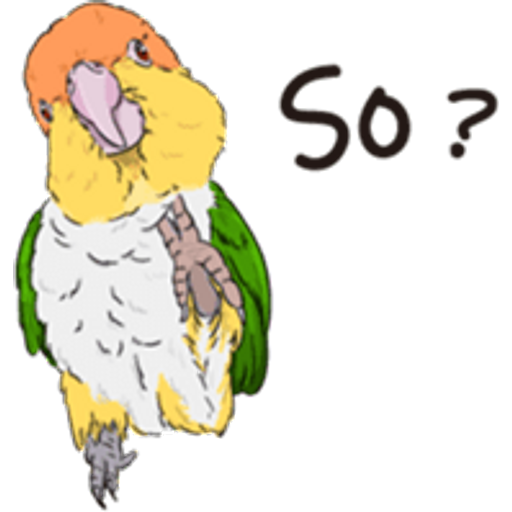 Sticker Maker - Caique (Made by Gooli Huang) @kikithecaique