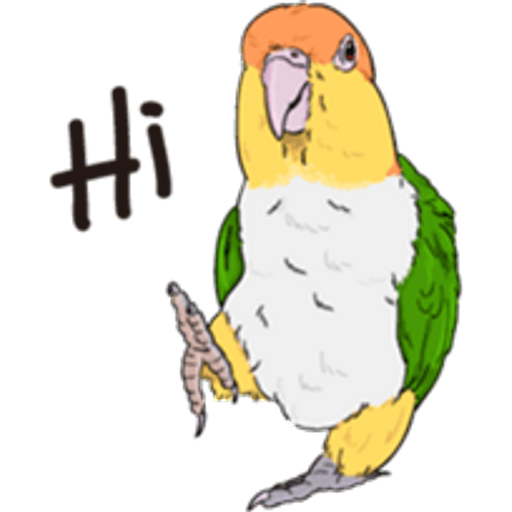 Sticker Maker - Caique (Made by Gooli Huang) @kikithecaique