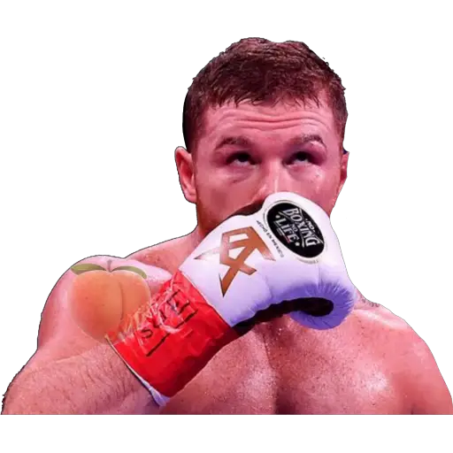 Sticker Maker - Canelo 3