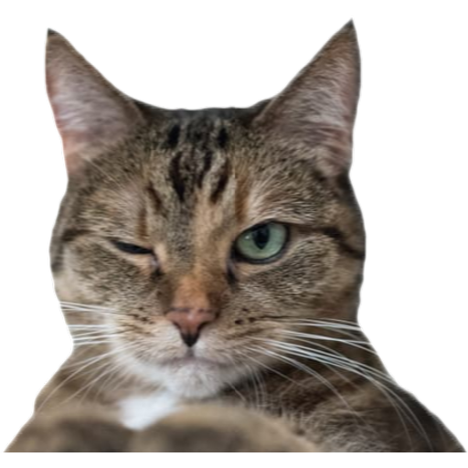 Sticker Maker - Cats #01