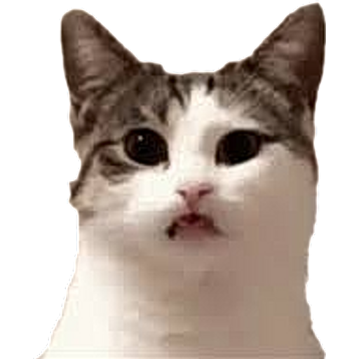 Sticker Maker - Cats #01