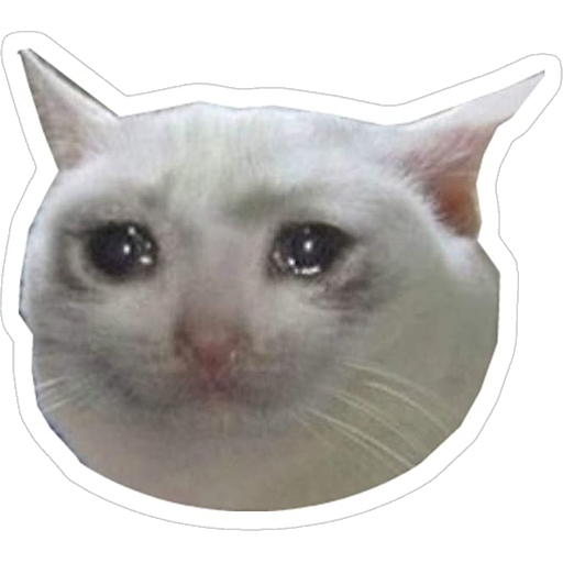 Sticker Maker - cat