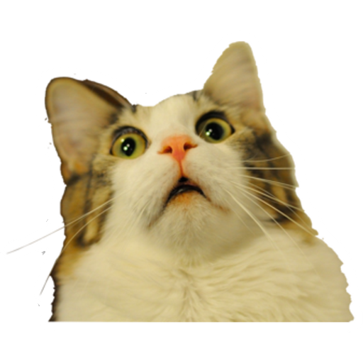 Sticker Maker - cat