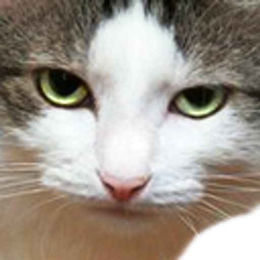 Sticker Maker - Cat