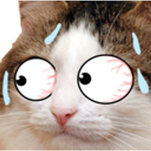 Sticker Maker - Cat