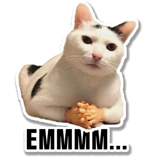 Sticker Maker - Cat Cat