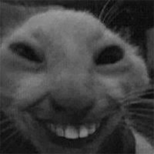 Sticker Maker - cat laughing meme