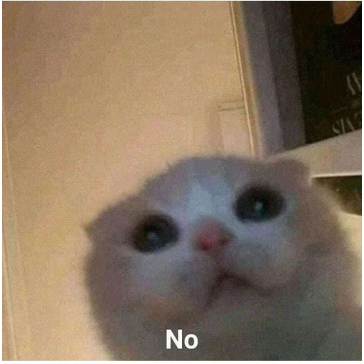 Sticker Maker - Cat meme