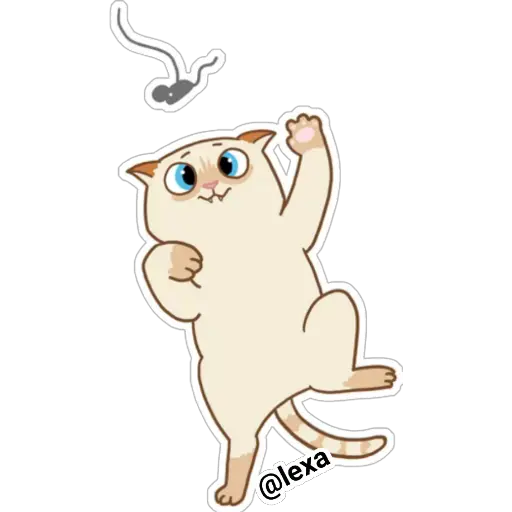 Sticker Maker - Cat?coco