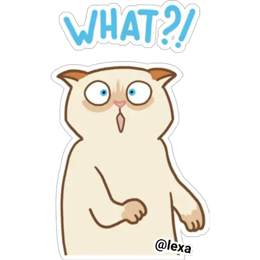 Sticker Maker - Cat?coco