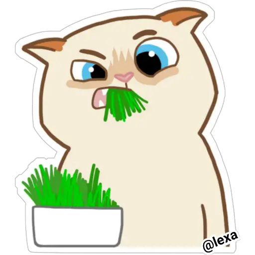 Sticker Maker - Cat?coco