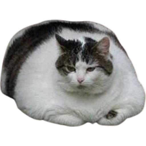 Sticker Maker - cats