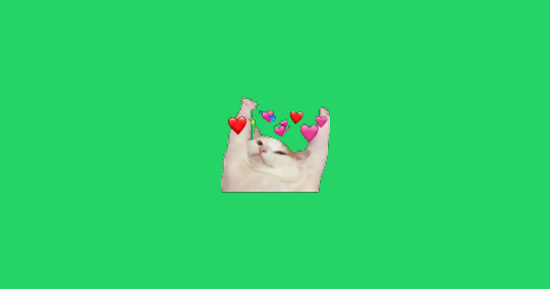 Sticker Maker - Catti pt2
