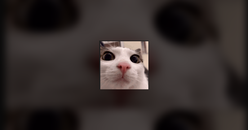 Sticker Maker - catto