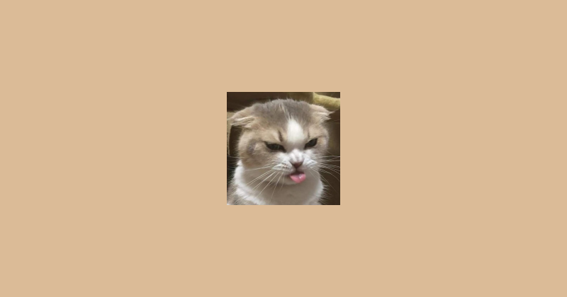 Sticker Maker - Catto v2