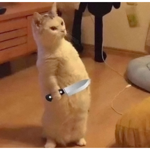 Sticker Maker - Catto v4