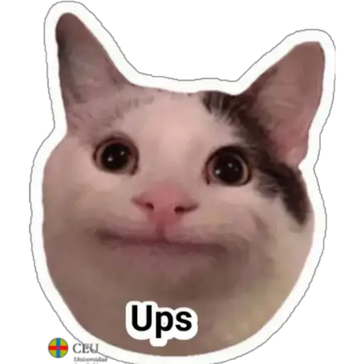 Sticker Maker - CEU memes