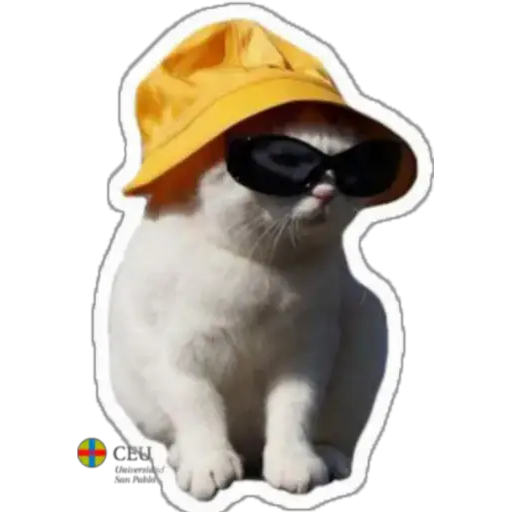 Sticker Maker - CEU memes