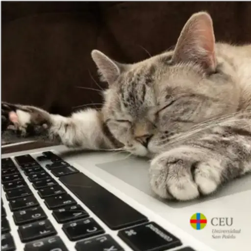 Sticker Maker - CEU memes