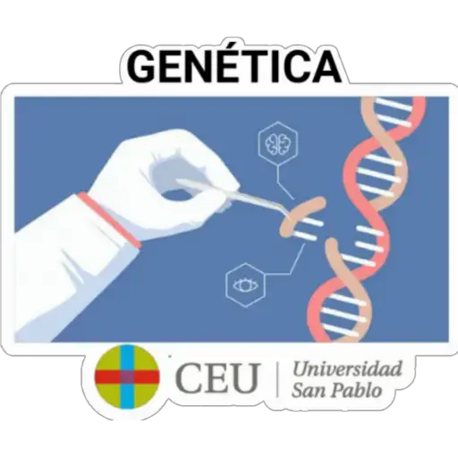 Sticker Maker - CEU TITULACIONES