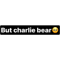 Sticker Maker Charlie Bear