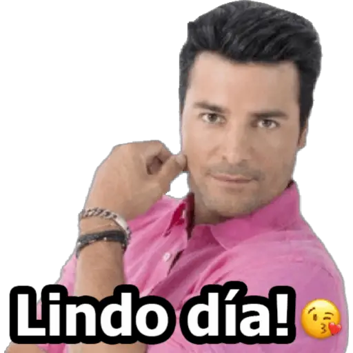 Sticker Maker - CHAYANNE