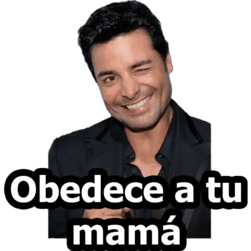 Sticker Maker - CHAYANNE