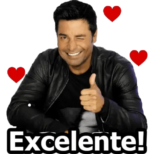 Sticker Maker - CHAYANNE
