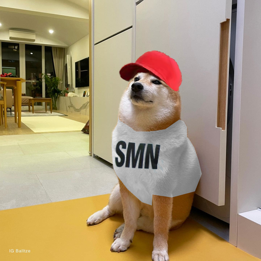 Sticker Maker - Cheems star