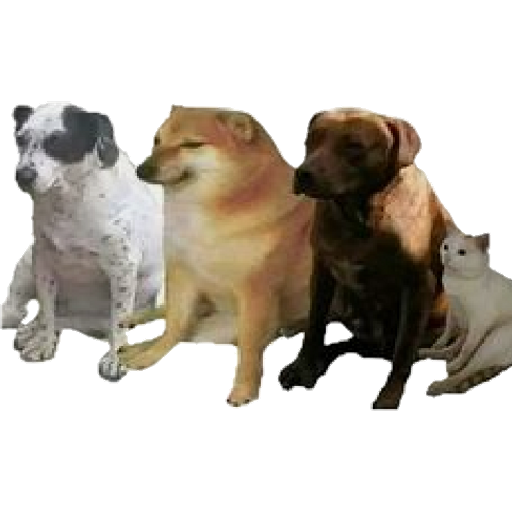 Sticker Maker - Cheems