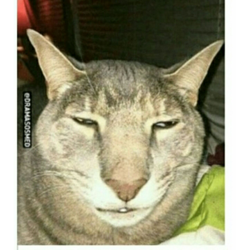 Sticker Maker - cobaa