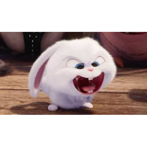 Sticker Maker - Conejo