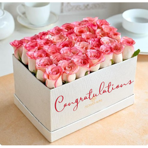 Sticker Maker - Congrats Stickers