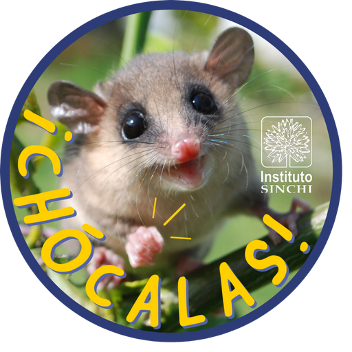 Sticker Maker - Conoce más fauna amazónica en www.sinchi.org.co