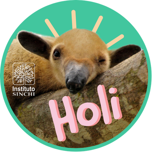 Sticker Maker - Conoce más fauna amazónica en www.sinchi.org.co