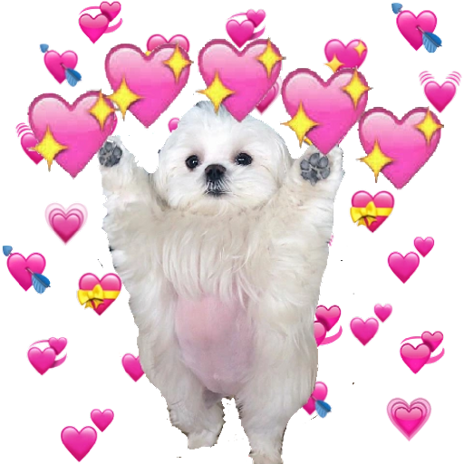 Sticker Maker - Corasones